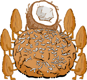 Product Category: Cookies & Brownies - Zingerman’s Bakehouse