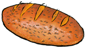 Jewish Caraway Rye Bread - Zingerman’s Bakehouse