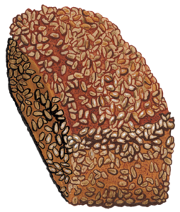 Dinkelbrot - Zingerman's Bakehouse