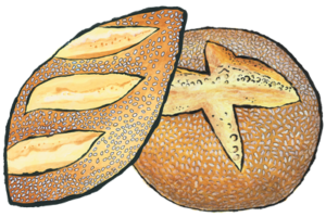 Sicilian Sesame Semolina Bread - Zingerman's Bakehouse